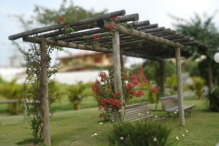 Pergolado de Madeira Rústica: Dicas e Ideias para seu Espaço